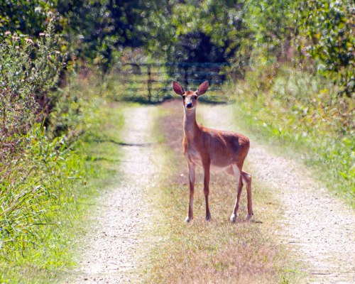 Mike Powell | My journey through photography