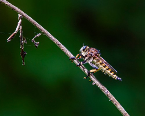 Mike Powell | My journey through photography