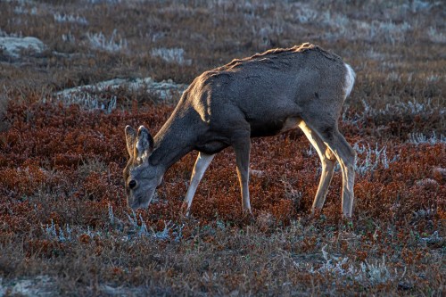 Mike Powell | My journey through photography