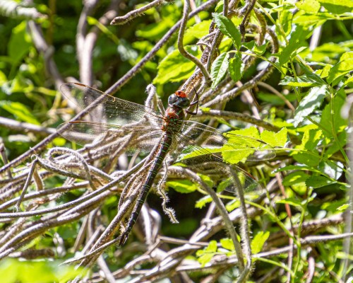 Mike Powell | My journey through photography