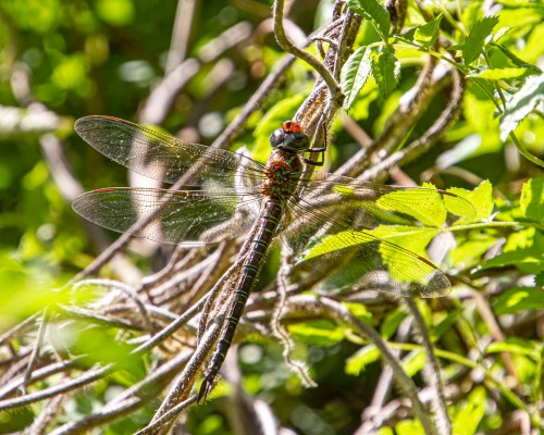 Mike Powell | My journey through photography