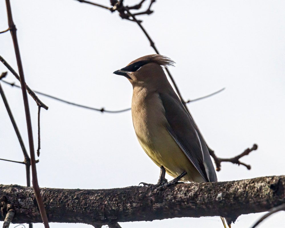 Happy New Year 2026 | Mike Powell